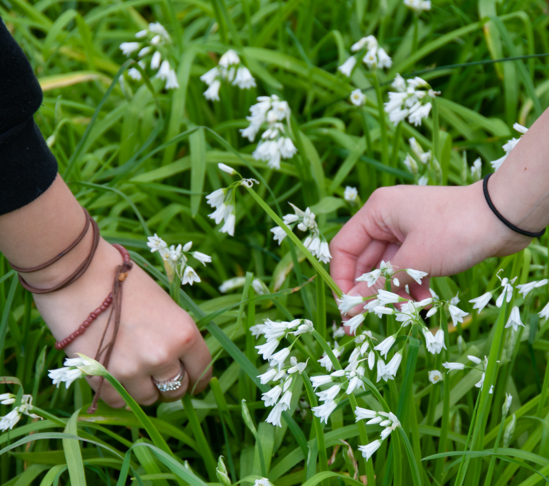 Libraries | City of Norwood Payneham & St Peters