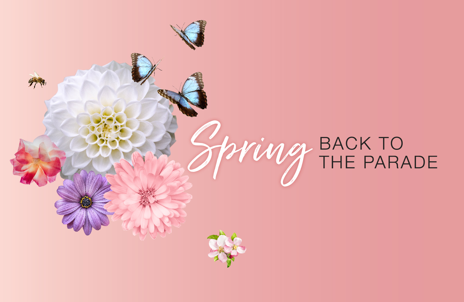 It's time to Spring Back to The Parade | City of Norwood Payneham & St ...